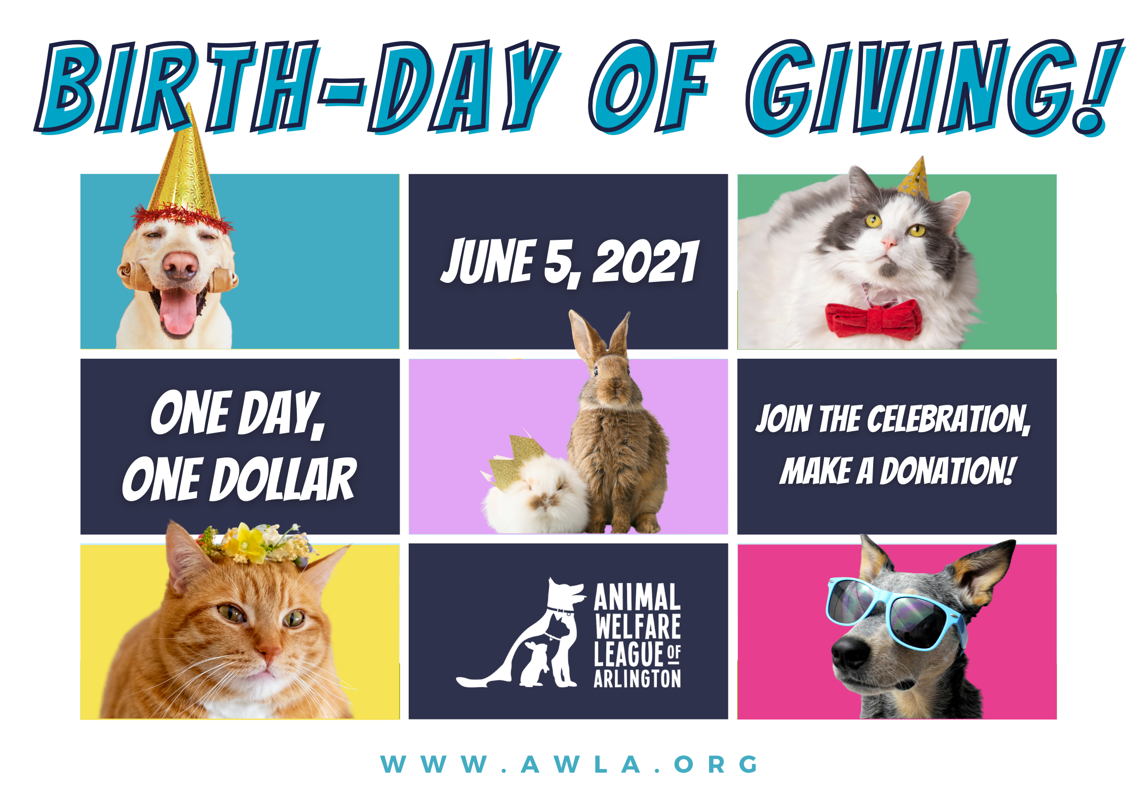 AWLA Birth-Day of Giving